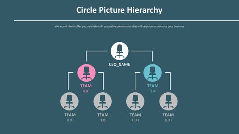 Circle Picture Hierarchy Diagram