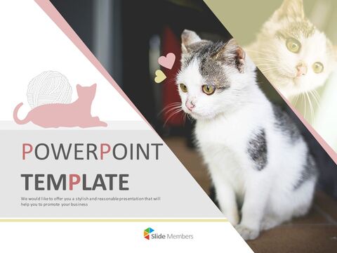 cat powerpoint template