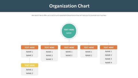 Organization Chart Diagram|Hierarchy