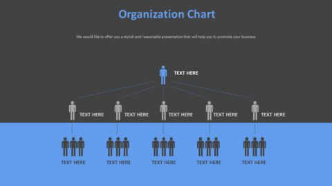 Organization Chart Diagram