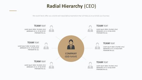Radial Hierarchy Diagram (CEO)