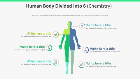 Human Body Divided Into 6 Diagram (Chemistry)
