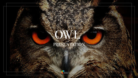 Infographic Tutorialsbya Owl