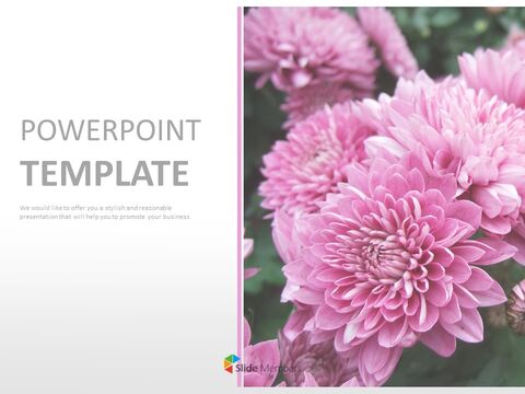 Chrysanthemum - Google Slides online Free