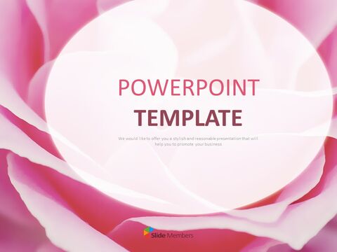 Magenta Rose Background - Google Slides online Free