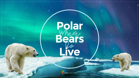 Where do polarbears live PPT Slides