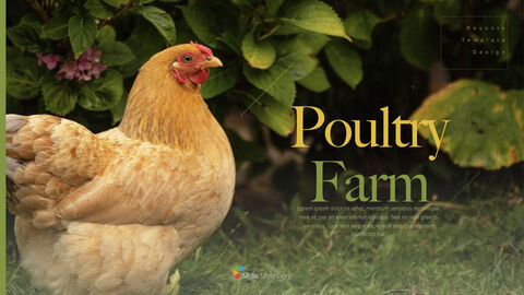PoultryFarm Theme Keynote Design