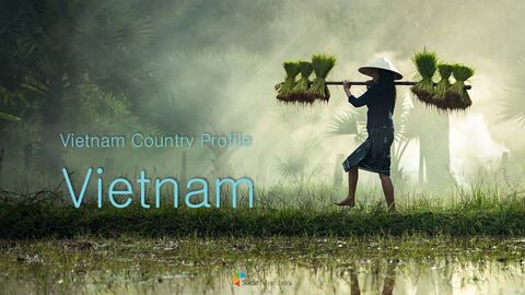 Vietnam Simple Presentation Google Slides Template