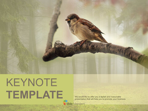 Free Professional Keynote Templates - Sparrows in Forests|Slides