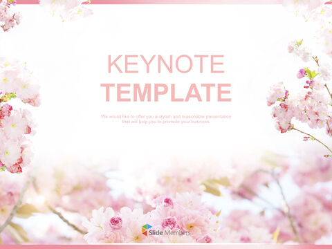 Keynote Template Free Download - Pink Cherry Blossoms
