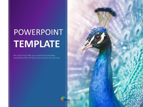 Peacock - PPT Download Free