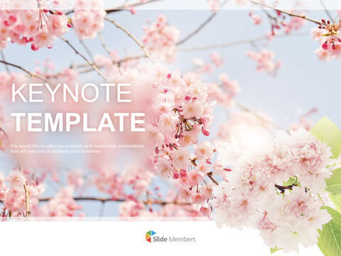 Spring Flowers - Free Keynote Template Download