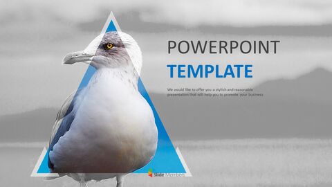 Free PPT Presentations - Seagull
