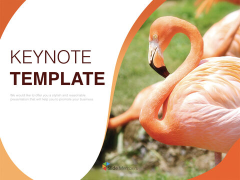 Free Presentation Templates - Flamingo