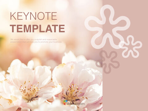 Keynote online Free - Colorful Spring Flowers|Slides
