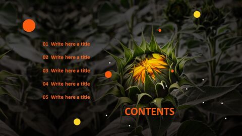 Sunflower Field - Free Google Slides themes