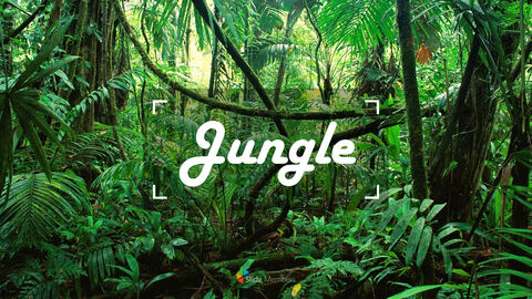 Jungle Action plan PPT