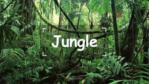 Jungle Theme Keynote Design