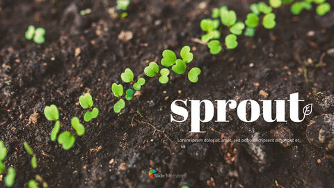 Organic Sprout PowerPoint Presentation Templates