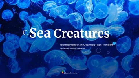 Sea Creatures Easy Slides Design|Nature|Google