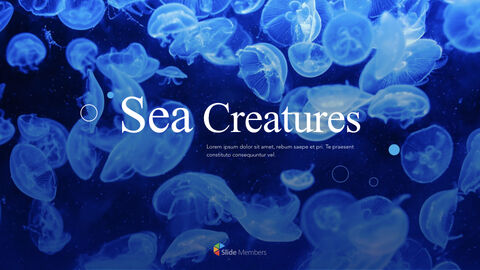 Sea Creatures PPT Keynote