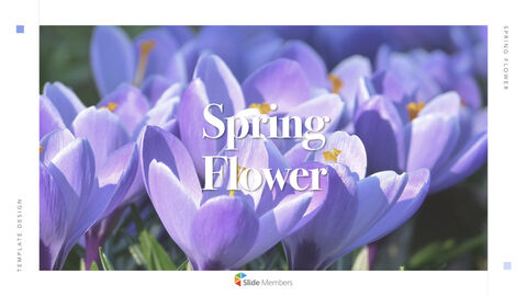 Spring Flower Keynote PowerPoint|Lifestyle