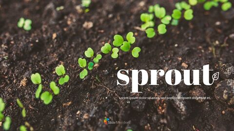 sprout Google Presentation Slides|Nature