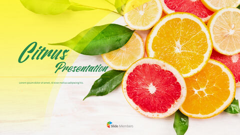 Citrus Templates PPT
