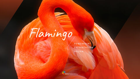 Flamingo Best PPT Templates