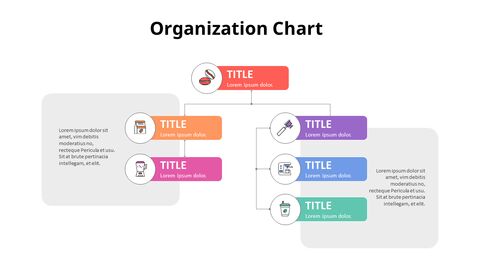 Organization Chart Diagram