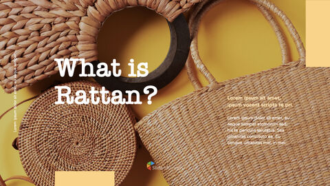 what is rattan Windows Keynote