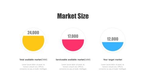 Market Size Slide Page
