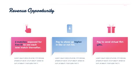 Revenue Opportunity Single Slide