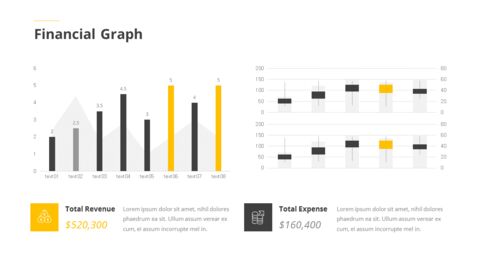 Financial Graph Template Page
