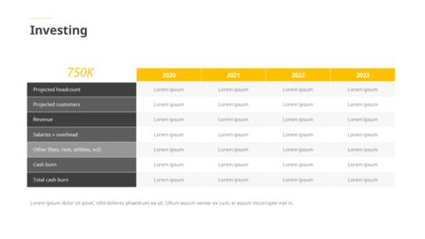 Investing Page Template|Financials|Single Slides