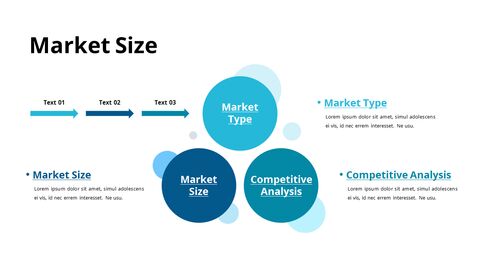 Market Size Page Template