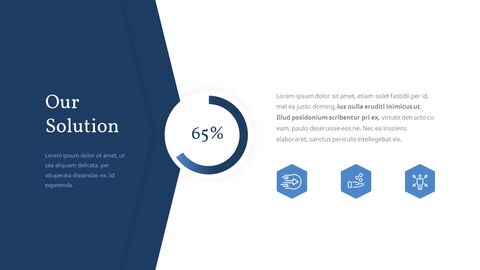 Our Solution Presentation Slides