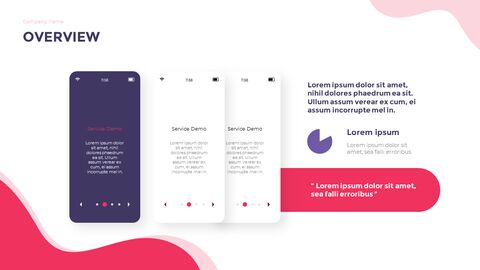 Overview Simple Slide