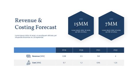 Revenue & Costing forecast Slide Layout|Profit, Loss|Single