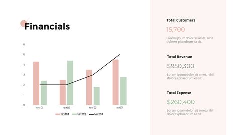 Financials Deck Layout|Single Slides