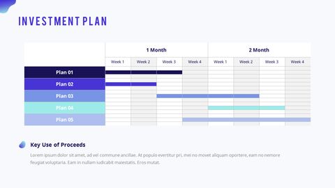 Investment plan Page Template