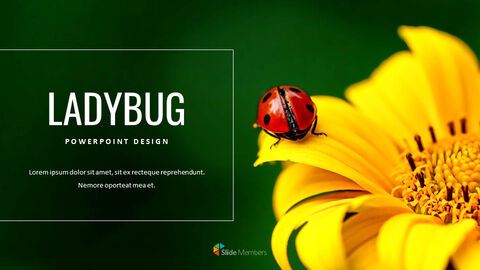 Ladybug Google presentation|Nature|Slides