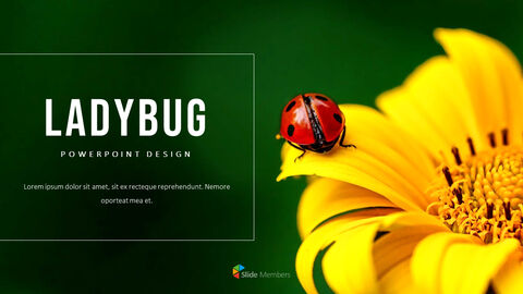Ladybug Theme Presentation Templates