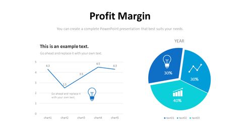 Profit Margin Simple slide