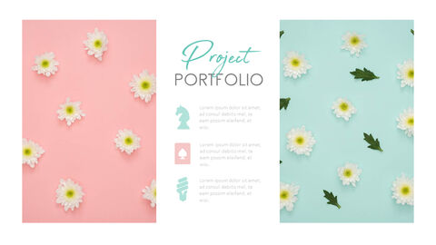 Project Portfolio Slide Deck