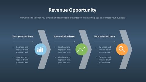 Revenue Opportunity Slide Deck