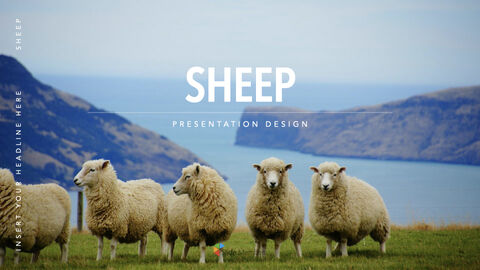 Sheep PowerPoint for mac
