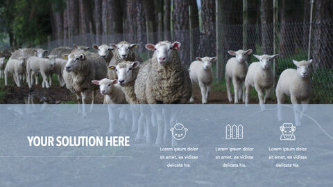 Sheep PowerPoint for mac