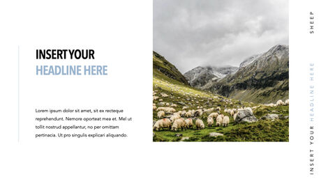 Sheep PowerPoint for mac