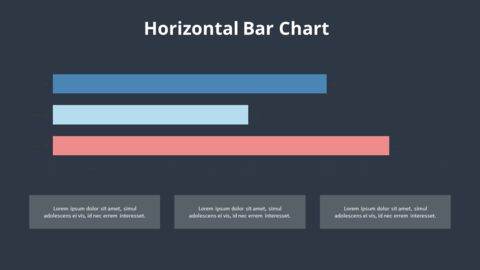 Horizontal Bar Chart with Texts